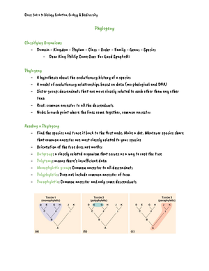 Trophic Cascades - Worksheet completed alongside the hhmi ...
