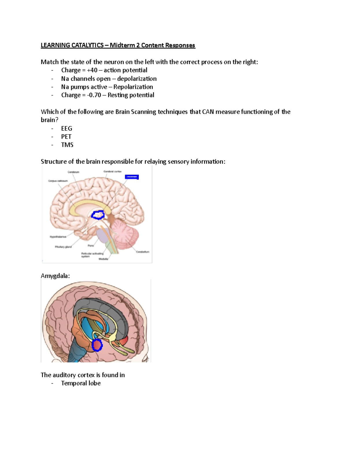 Learning Catalytics Questions - LEARNING CATALYTICS – Midterm 2 Content ...