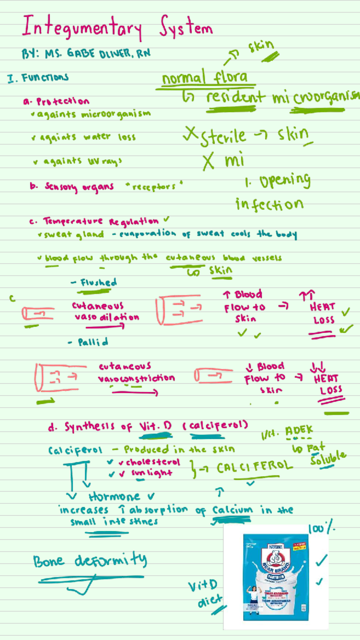 Integumentary System Overview: Functions, Structure, and Pathologies ...