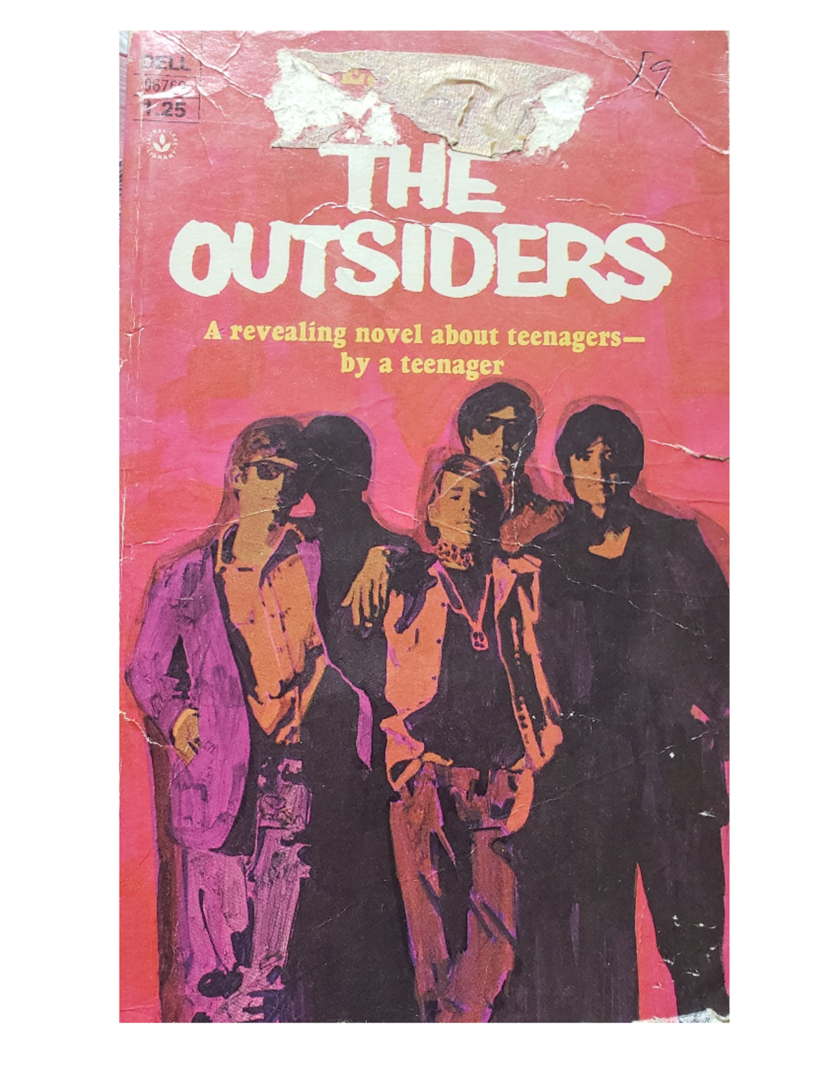 The Outsiders (ENG 101) Comprehensive Reading Guide and Study Notes ...