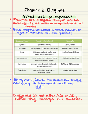 Biochem equation list - It's helpful to categorize basic equations for ...