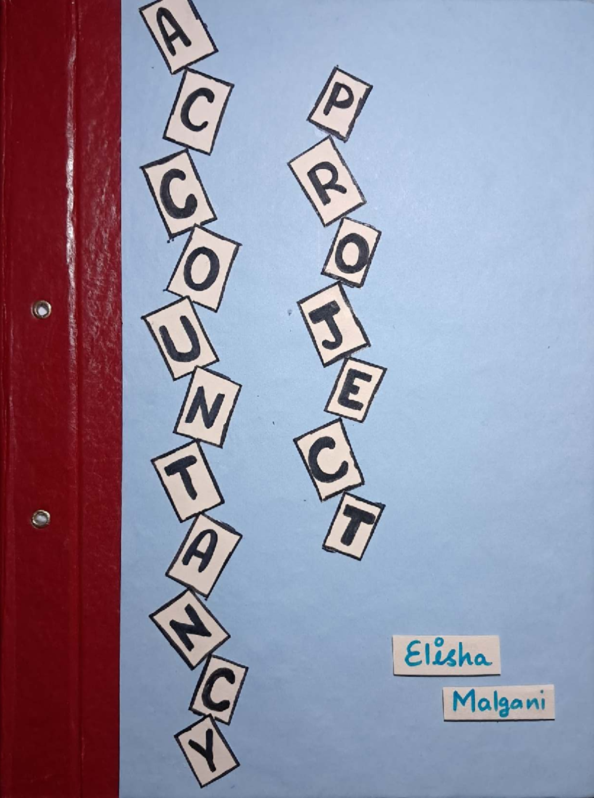 Accountancy Project XII Commerce: Financial Statement Analysis by ...