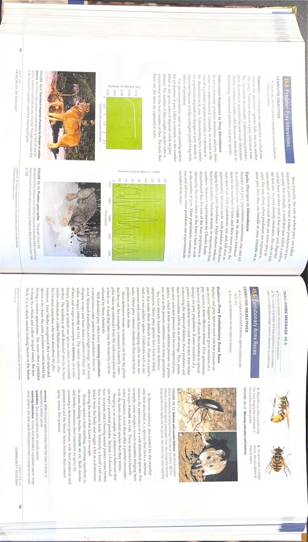 Chapter 45.5: Predator-Prey Interactions in Ecology - Studocu