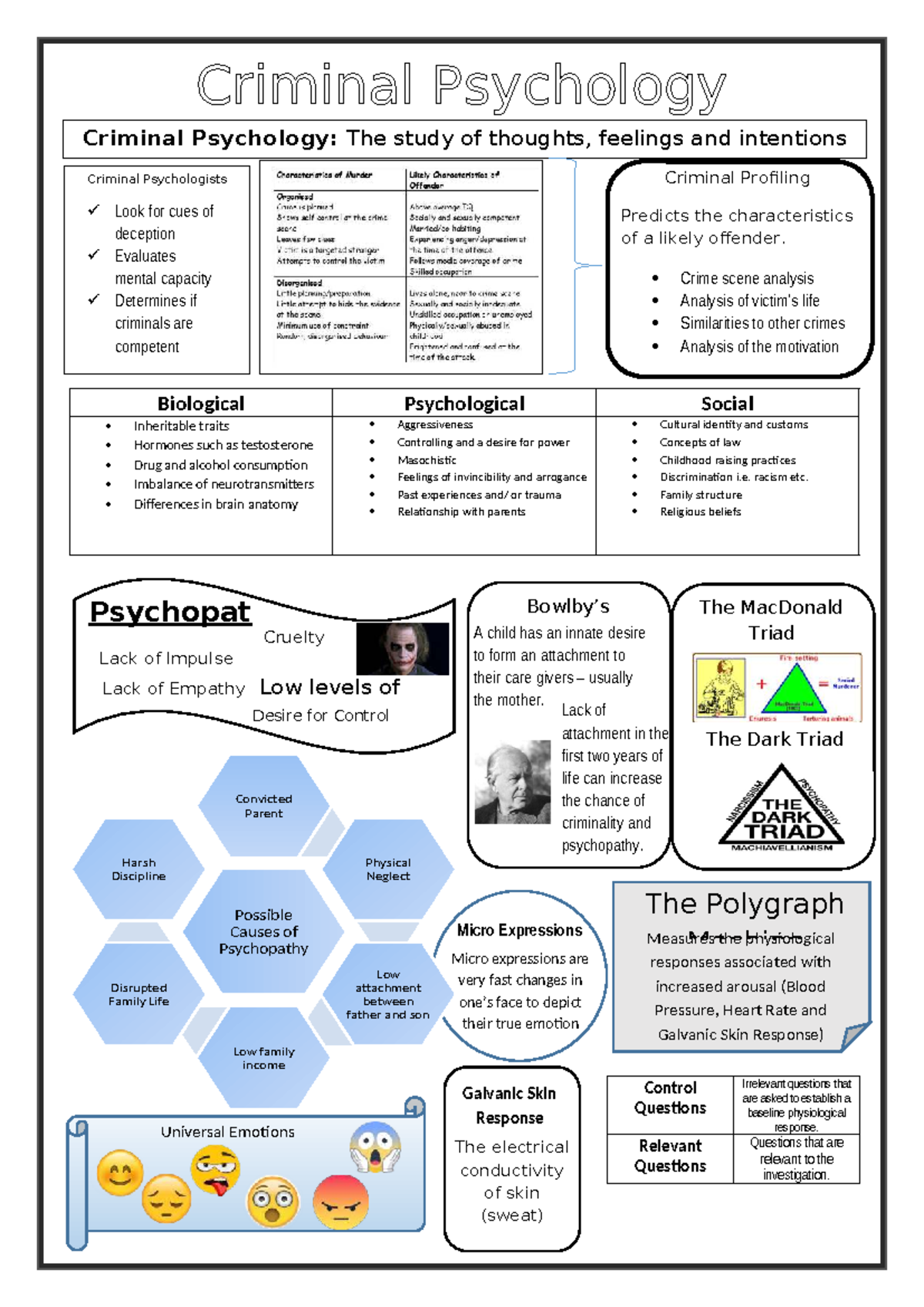 Criminal Psychology Overview: Insights into Criminal Behavior and ...