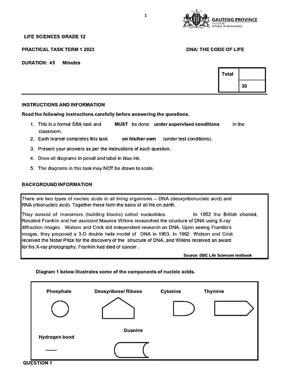 Life Sciences Grade 12 Practical Task: DNA & Protein Synthesis (Term 1 ...
