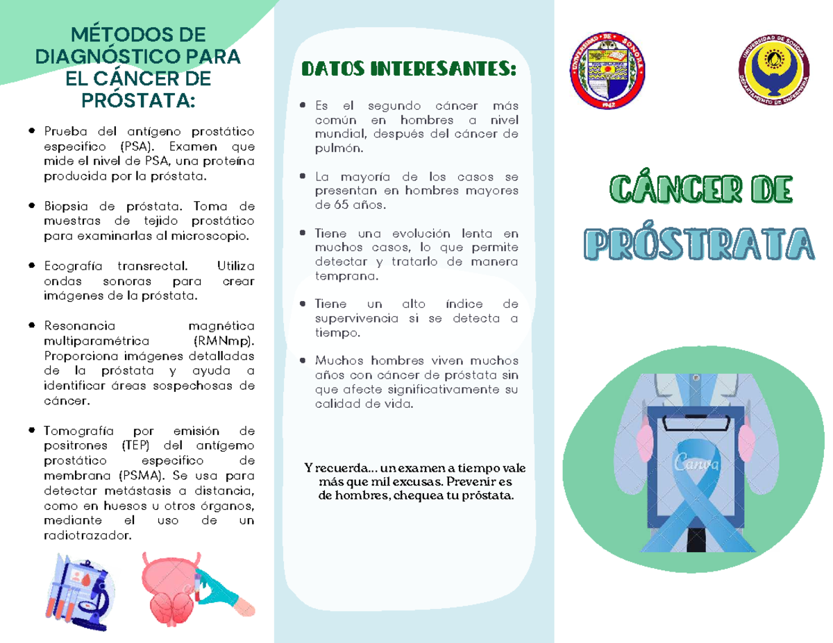 MÉTODOS DE DIAGNÓSTICO DEL CÁNCER DE PRÓSTATA: CA próstata - Tríptico ...