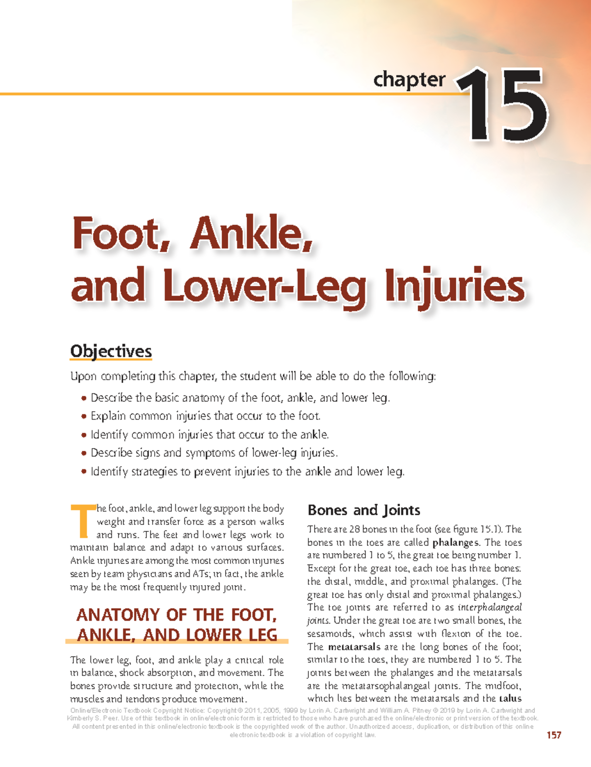 Foot, Ankle, and Lower-Leg Injury Management in Athletic Training - 157 ...