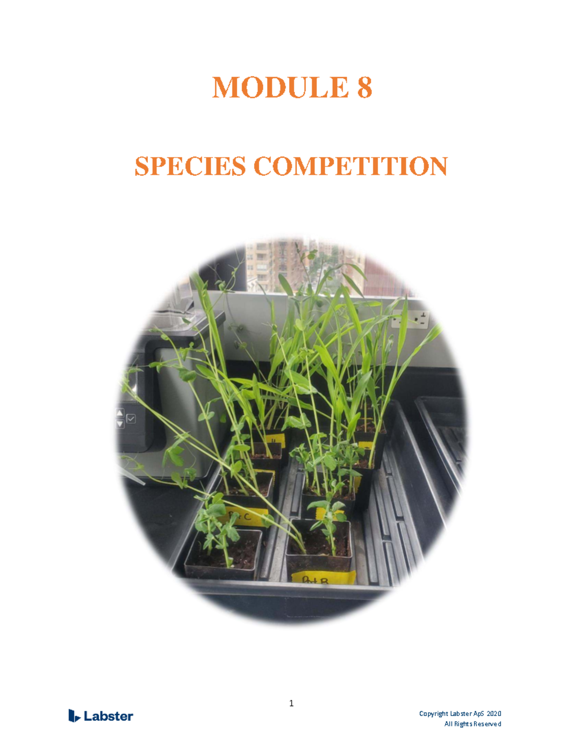 Plant Competition Lab Report