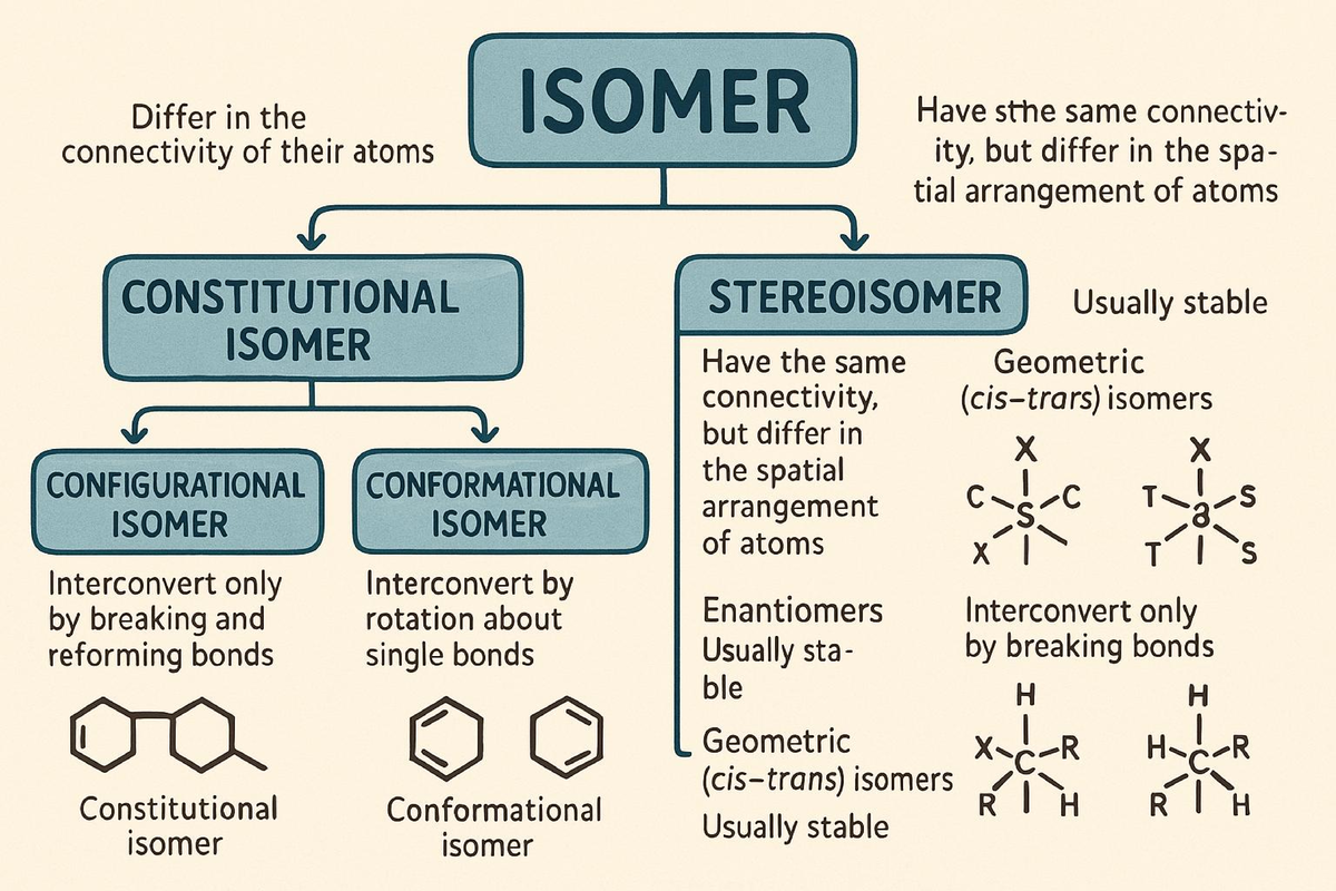 Isomer Concept Map: Understanding Constitutional and Stereoisomers ...