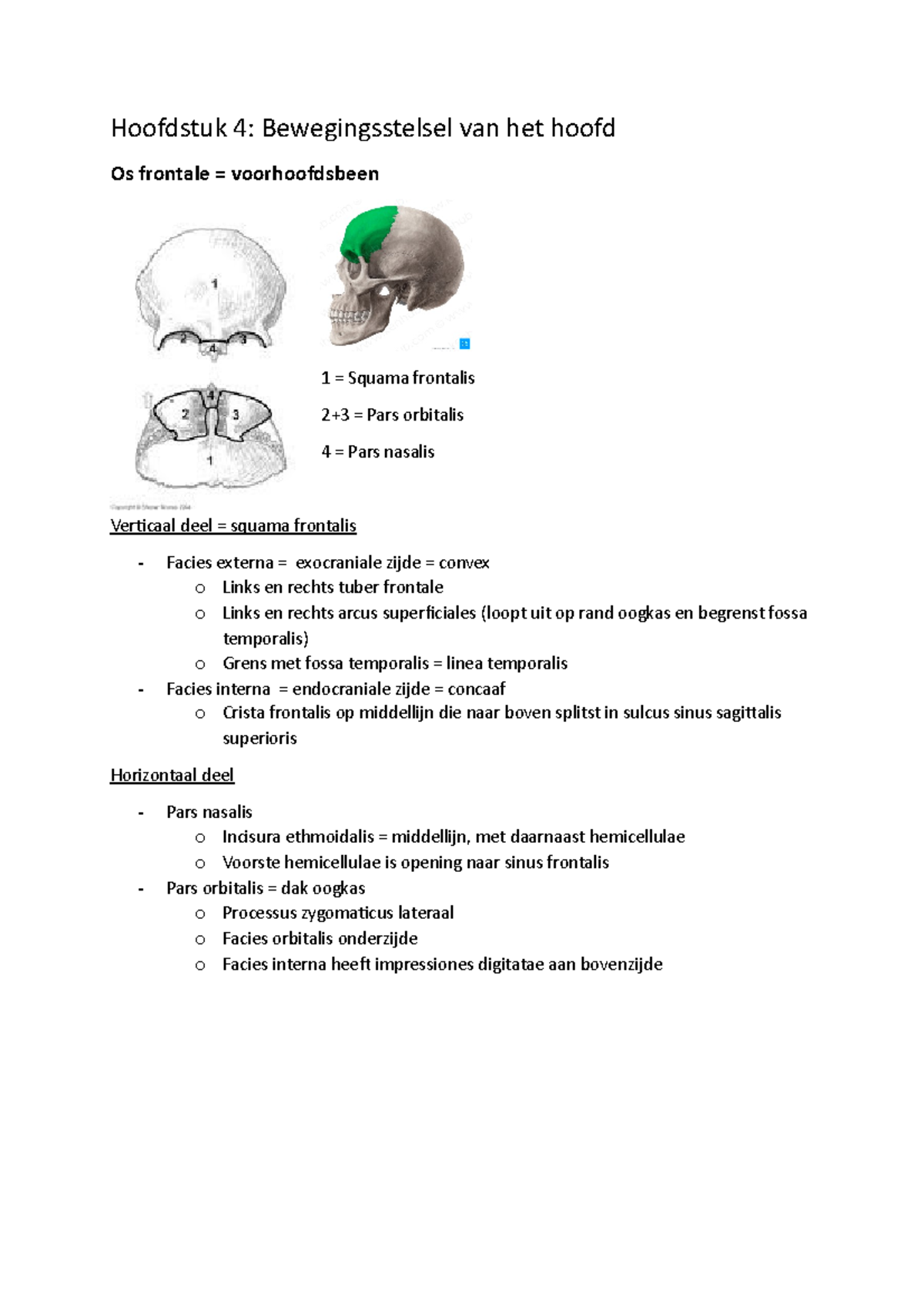 Schedel Anatomie 1 - Hoofdstuk 4: Bewegingsstelsel van het frontale ...