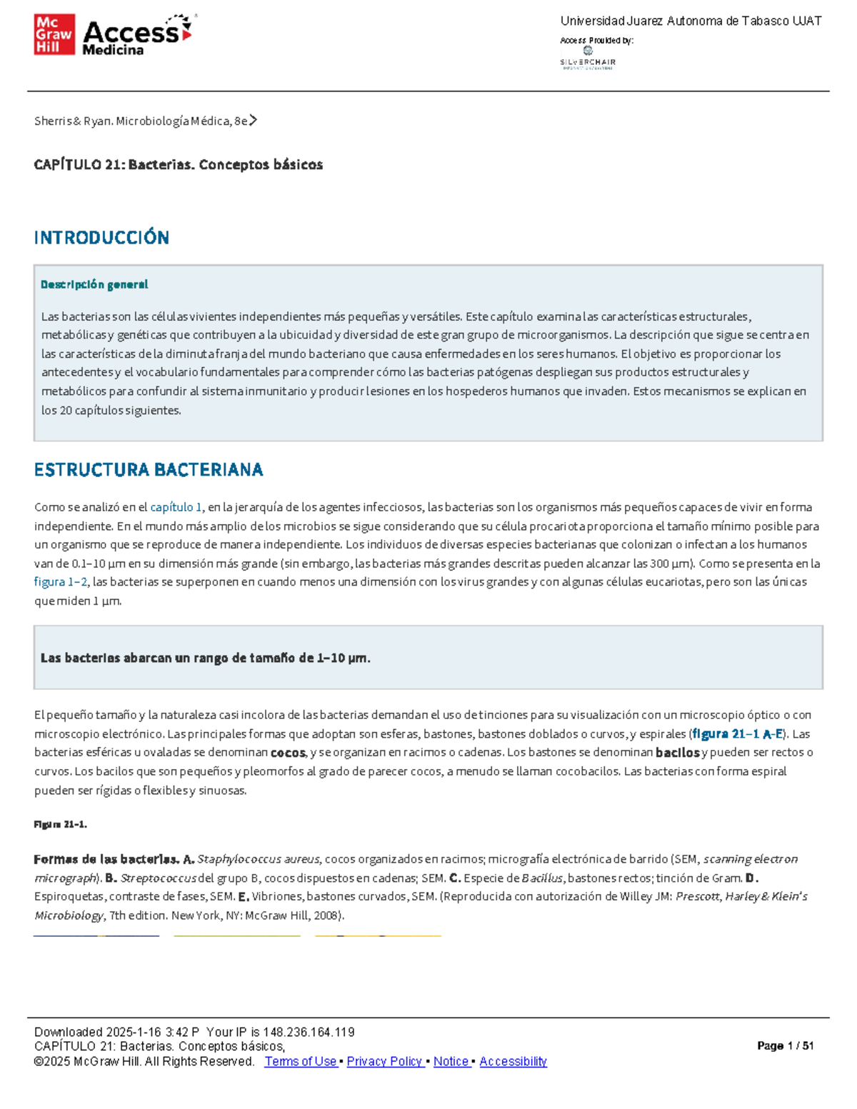 Capítulo 21 Bacterias. Conceptos básicos - Sherris & Ryan. Microbiología Médica, 8e CAPÍTULO ...