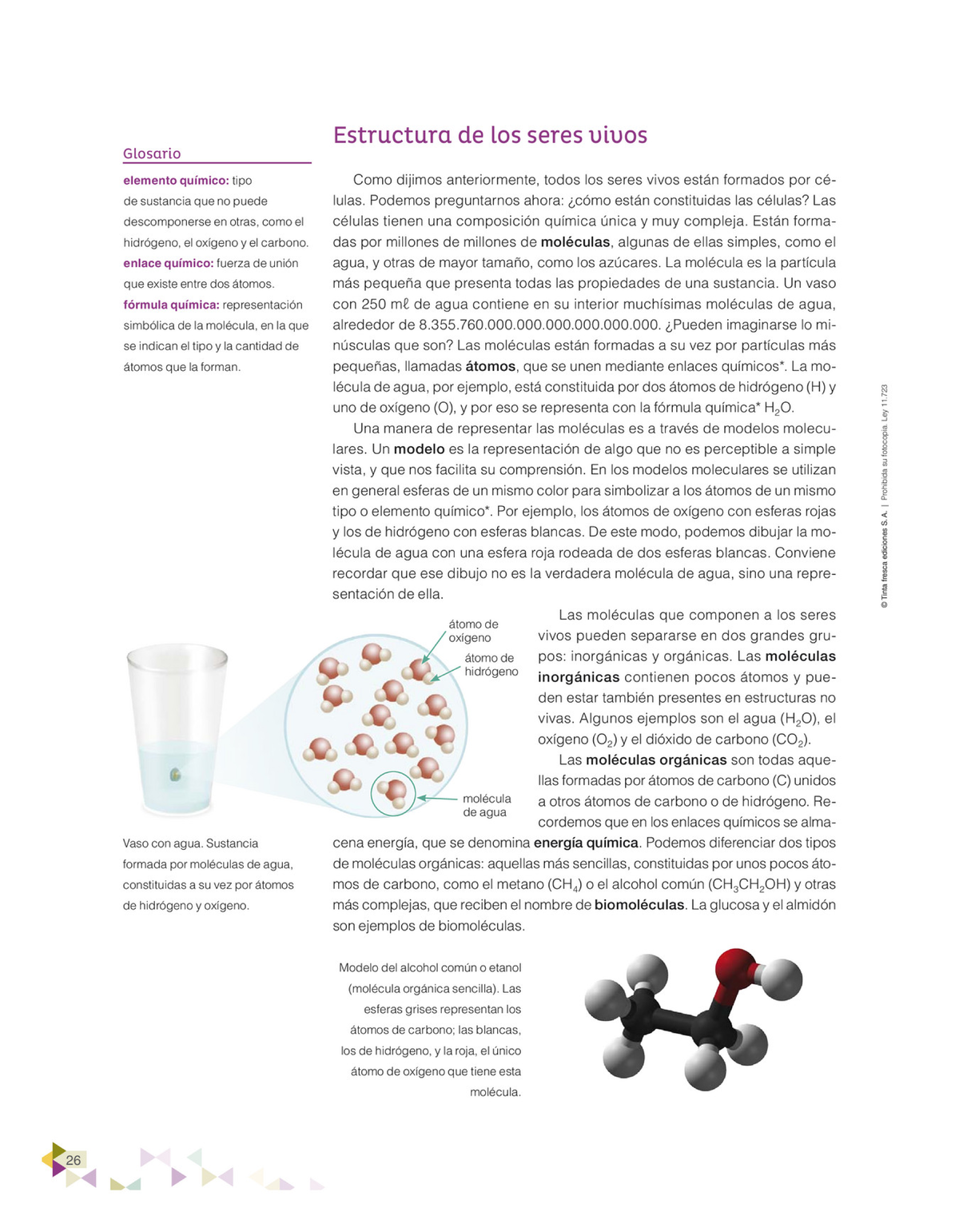 Act. 9 - Bioelementos: Glosario de Estructura de los Seres Vivos - Studocu