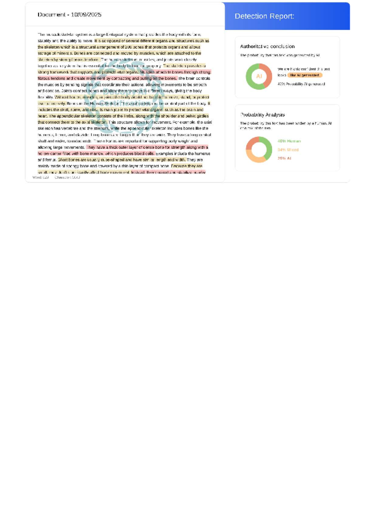 Musculoskeletal System Overview: Structure & Function Analysis - Studocu