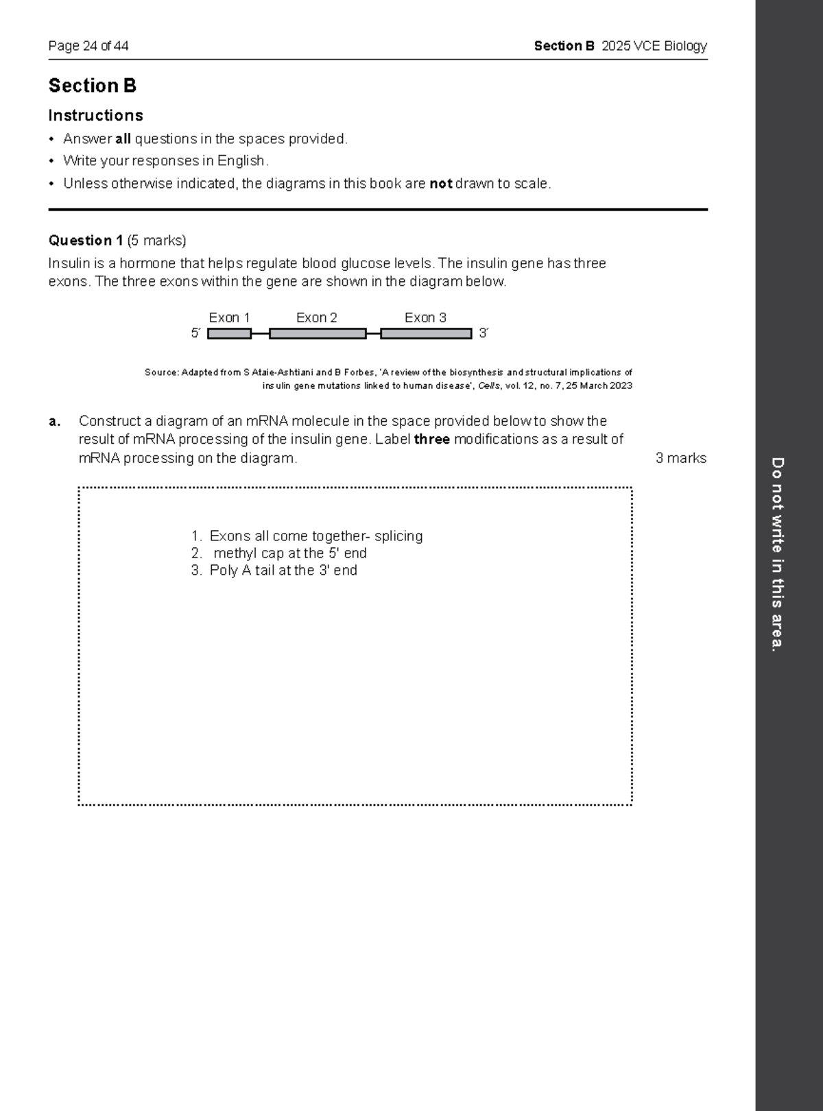 2025 VCE Biology Section B: Insulin Gene Processing Practice Questions ...