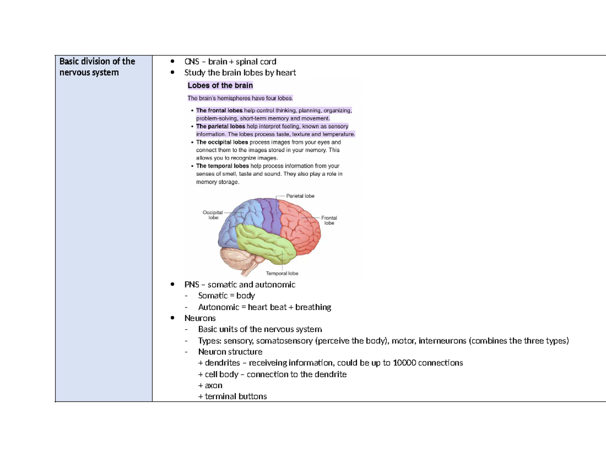 WEEK 2 Lecture - Samenvatting Intro to Psychology - Basic division of the nervous system CNS ...