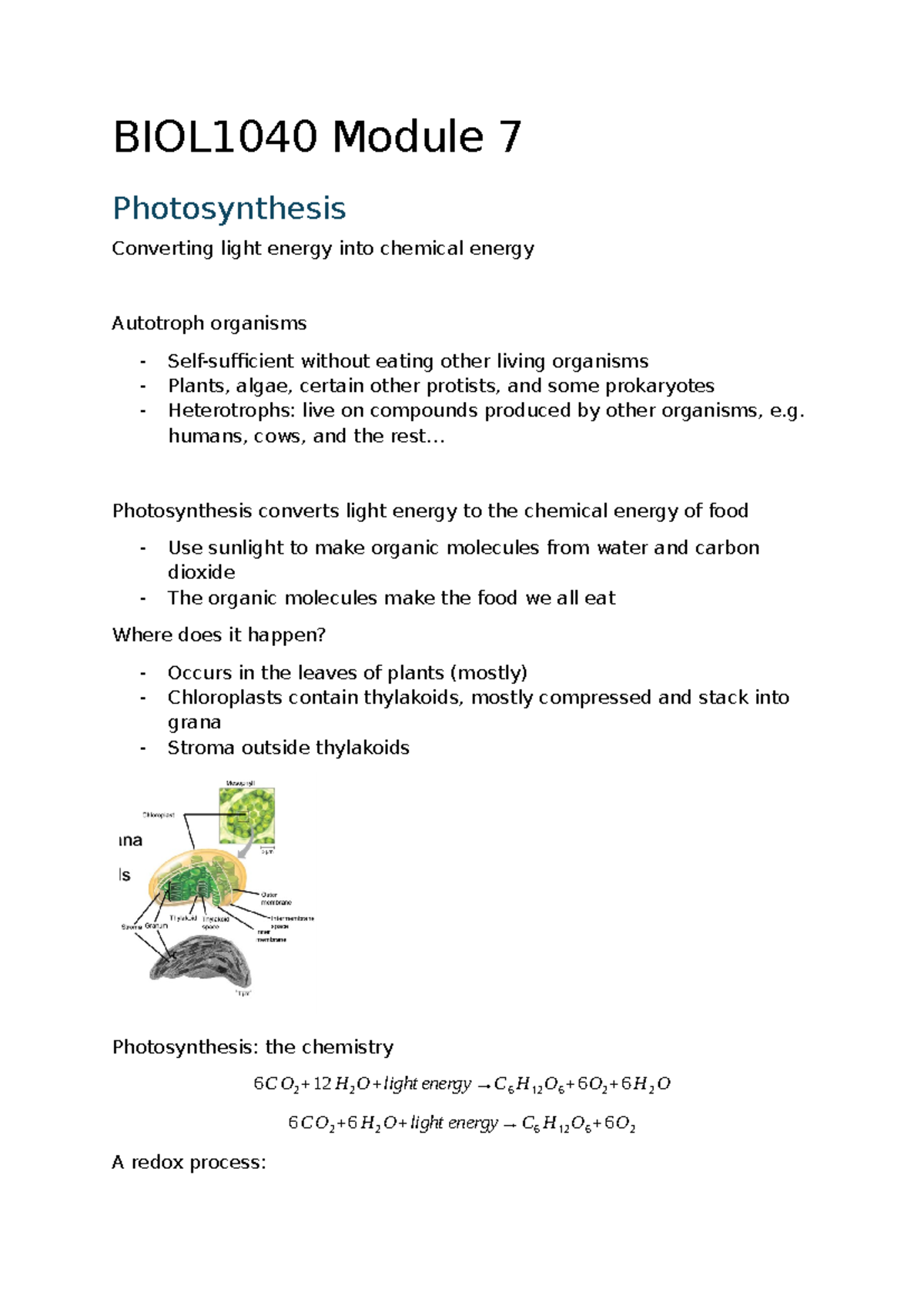 BIOL1040 Module 7 Notes - BIOL1040 Module 7 Photosynthesis Converting ...