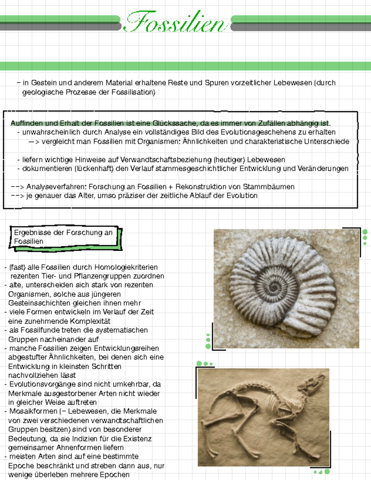 Fossilien- Entstehung und Begriffserklärungen - Fossilien = in Gestein ...