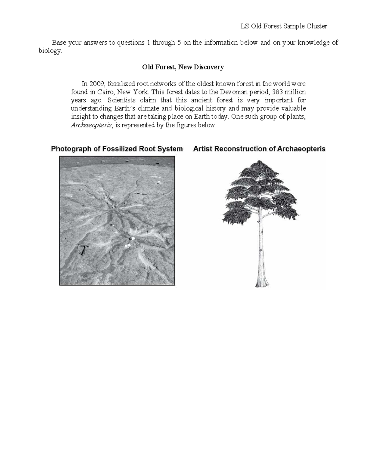LS 677578 Biology Cluster: Old Forest Discovery & Carbon Cycling - Studocu