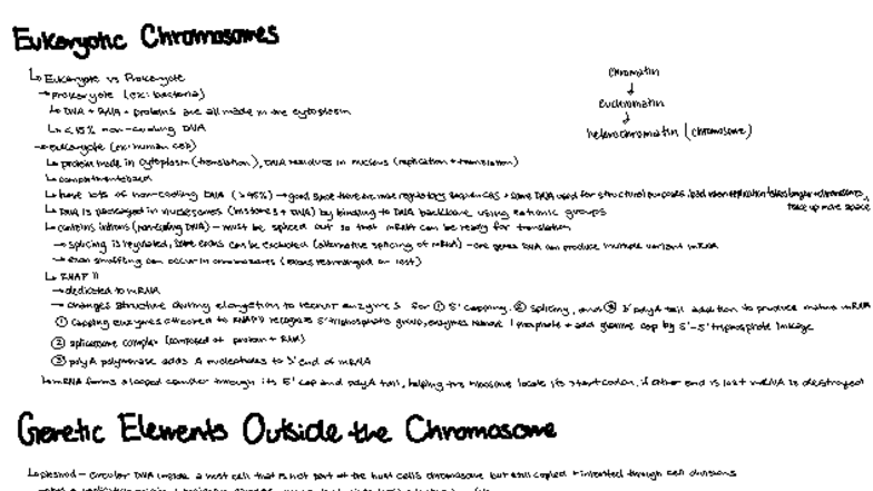 MBB 222 - Lecture Notes on Eukaryotic Chromosomes and Gene Expression ...