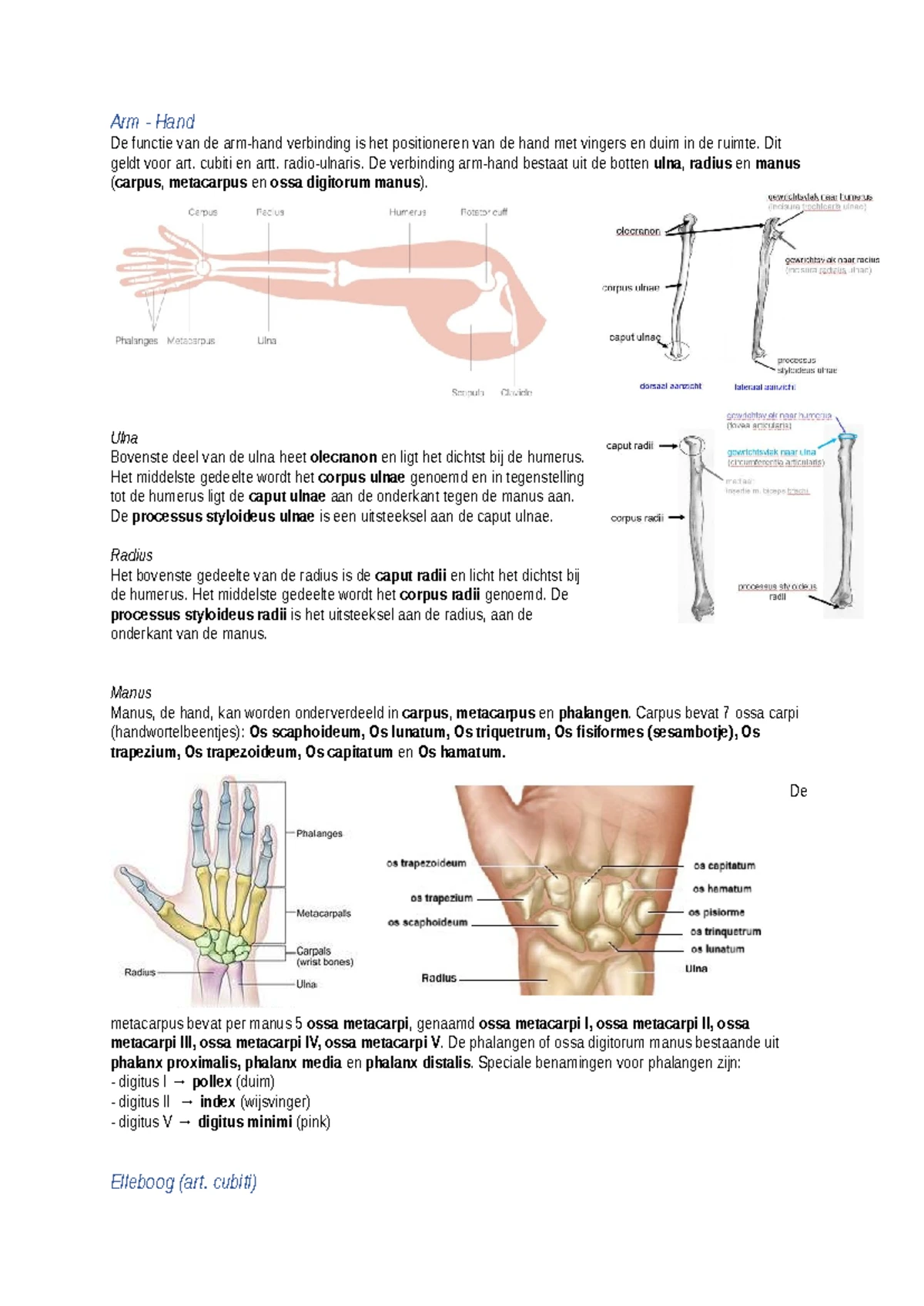 Samenvatting Anatomie Been-Voet: Botten en Structuren van de Voet ...