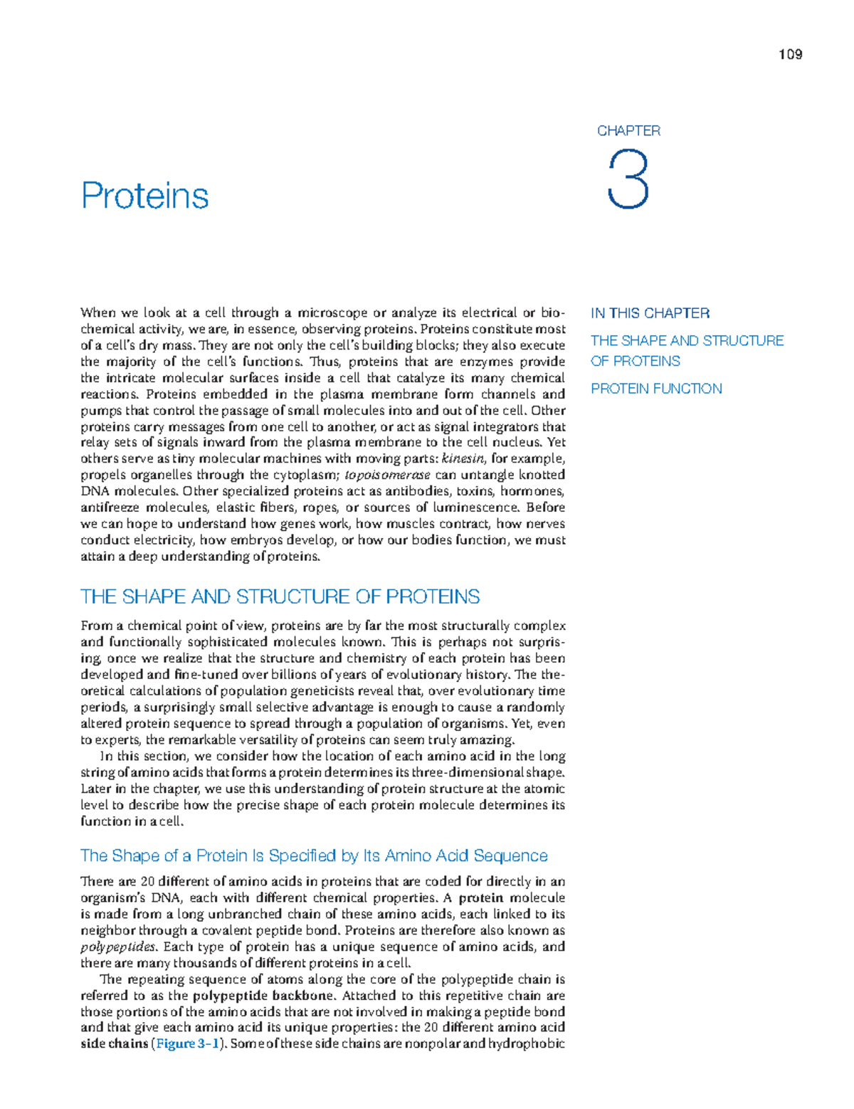 Protein Structure and Function Analysis - MBoC6 Chapter 3 Review - Studocu