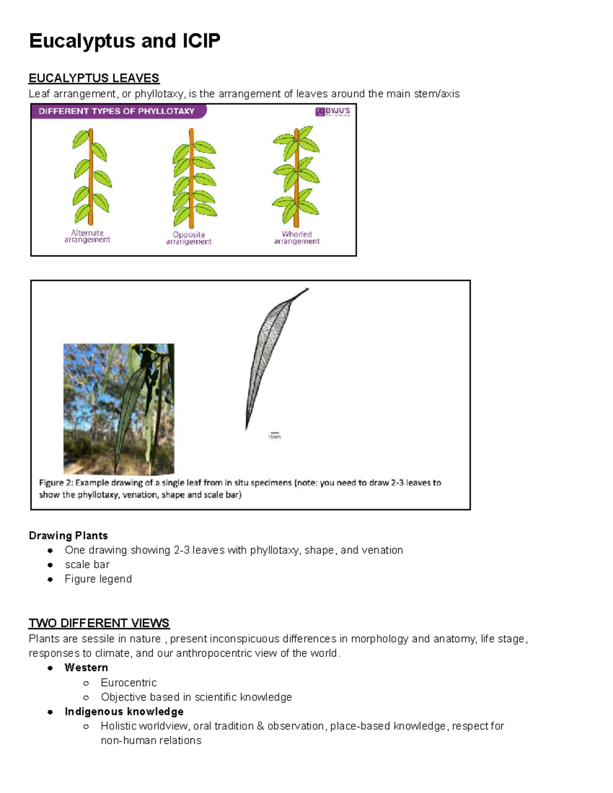 ICIP 101: Practical Notes on Eucalyptus and Cultural Knowledge - Studocu