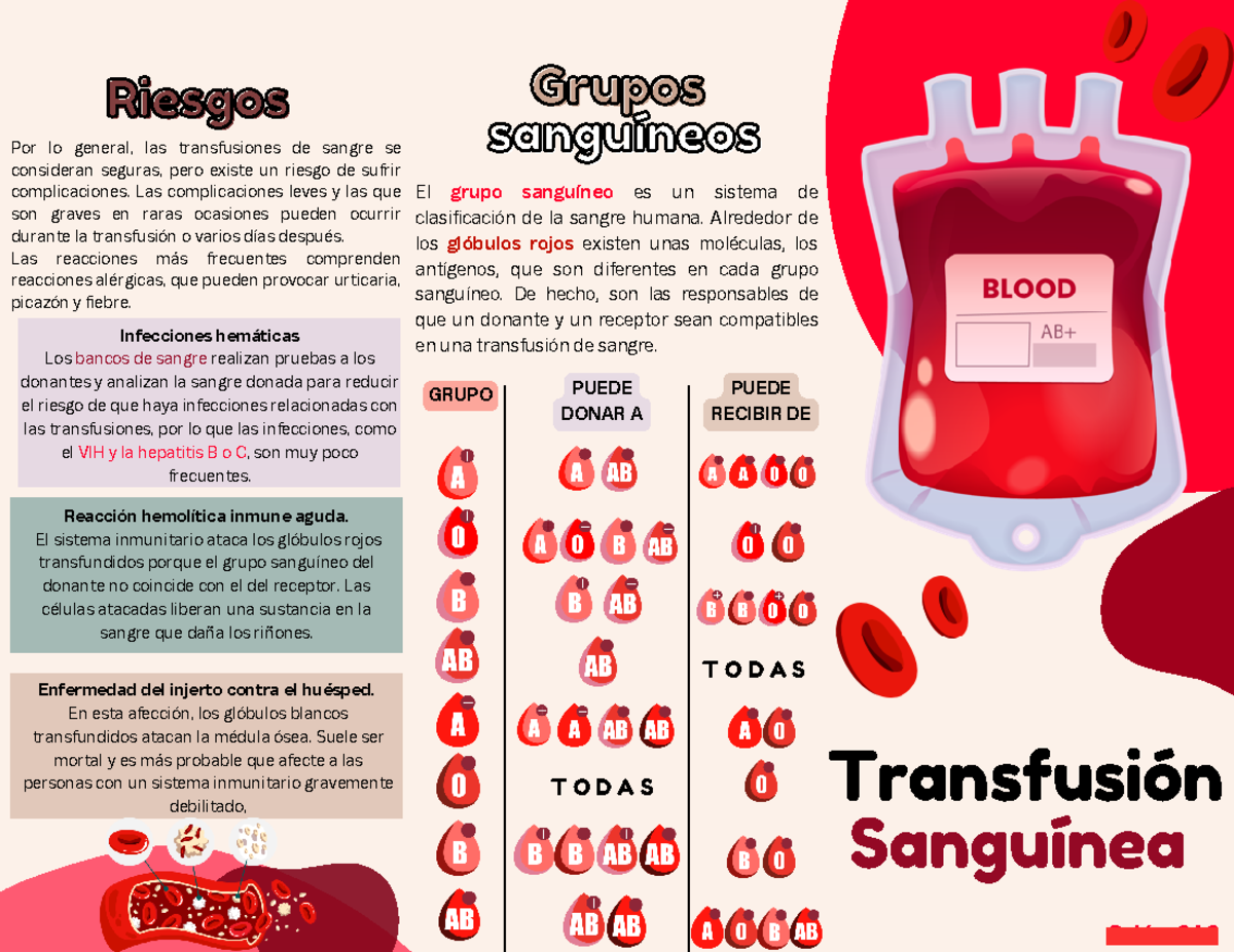 Triptico Transfusion Sanguinea Isste - El grupo sanguíneo es un sistema de clasificación de la ...