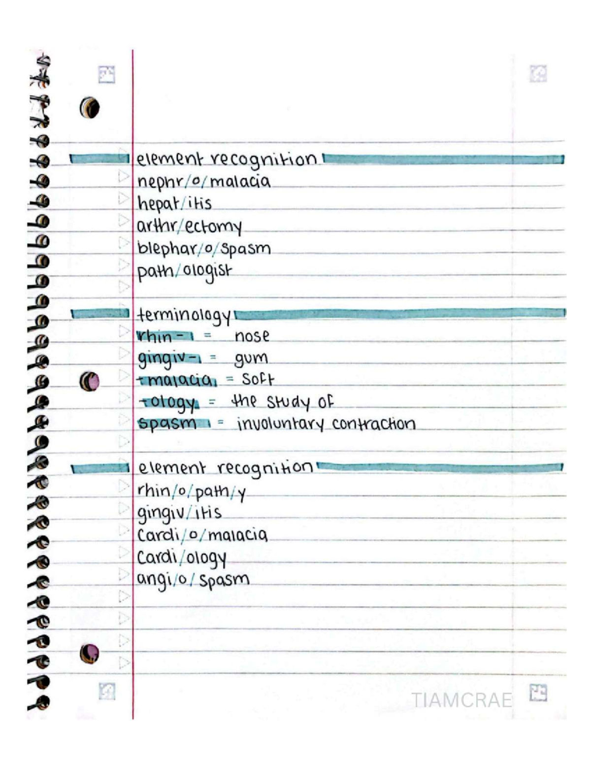 A&P Terminology - Old Dean Vaughn notes that go over common medical ...