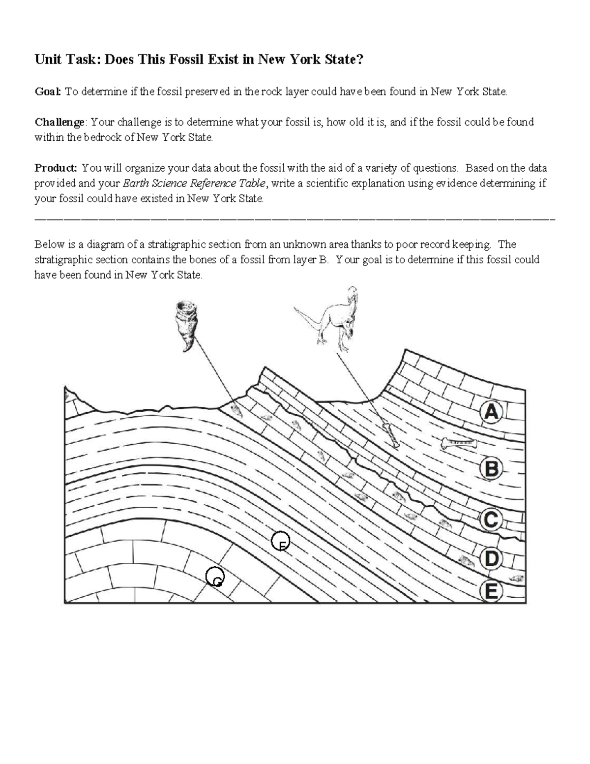 Unit Task: Assessing Fossil Existence in NY State - Version A - Studocu