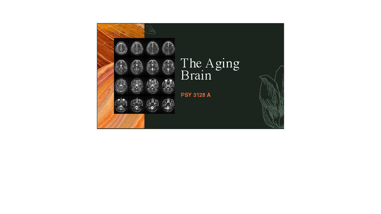 PSY 3128 Lecture 7-8: Understanding the Aging Brain and Its Changes ...