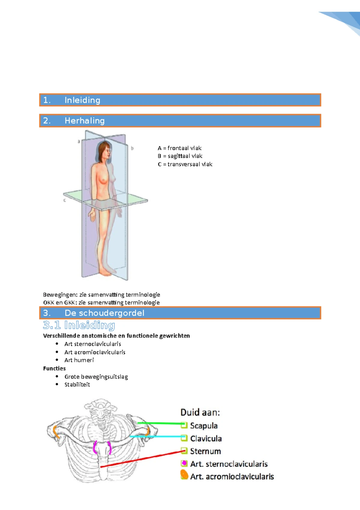 Anatomie van de Hand en Pols: Belangrijke Structuren en Bewegingen ...