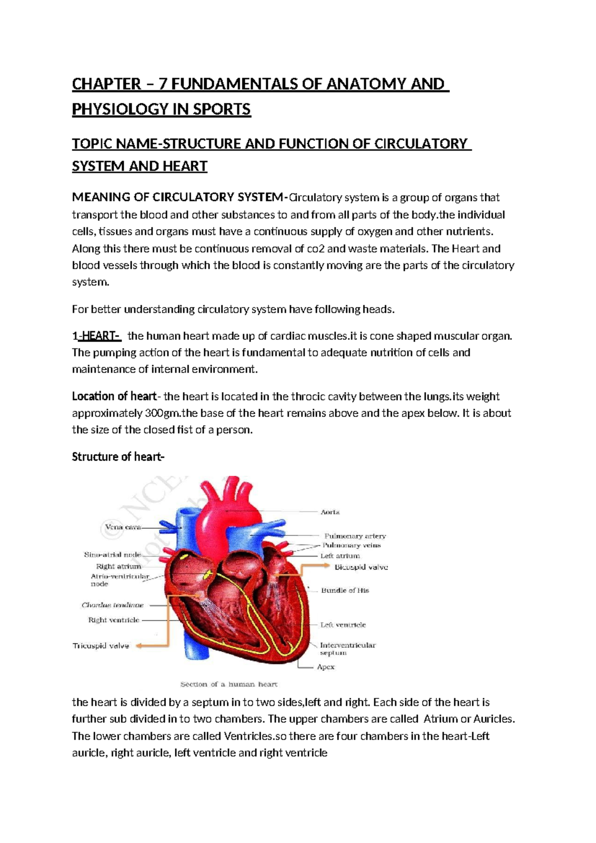 CHAPTER 7: CIRCULATORY SYSTEM IN SPORTS PHYSIOLOGY - Studocu