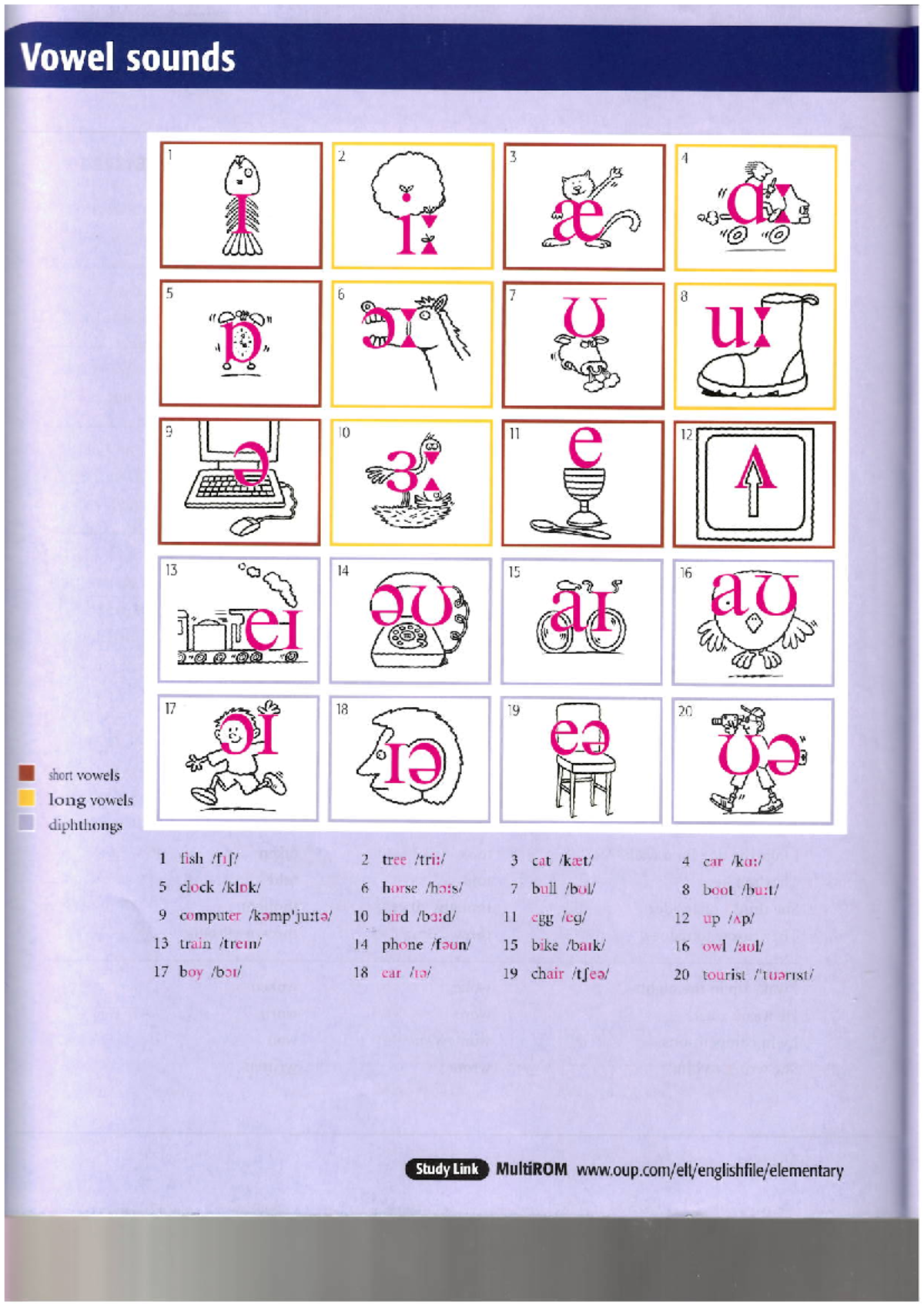 Phonetics Study (NEF Chart) - Vowel Sounds & Spellings Support Material ...