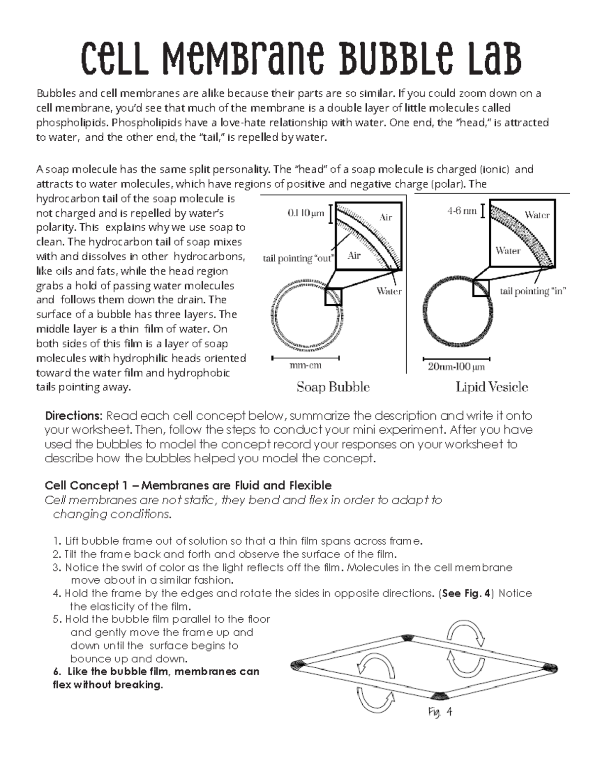 Cell Membrane Bubble Lab Instructions (Biology 101) - Studocu