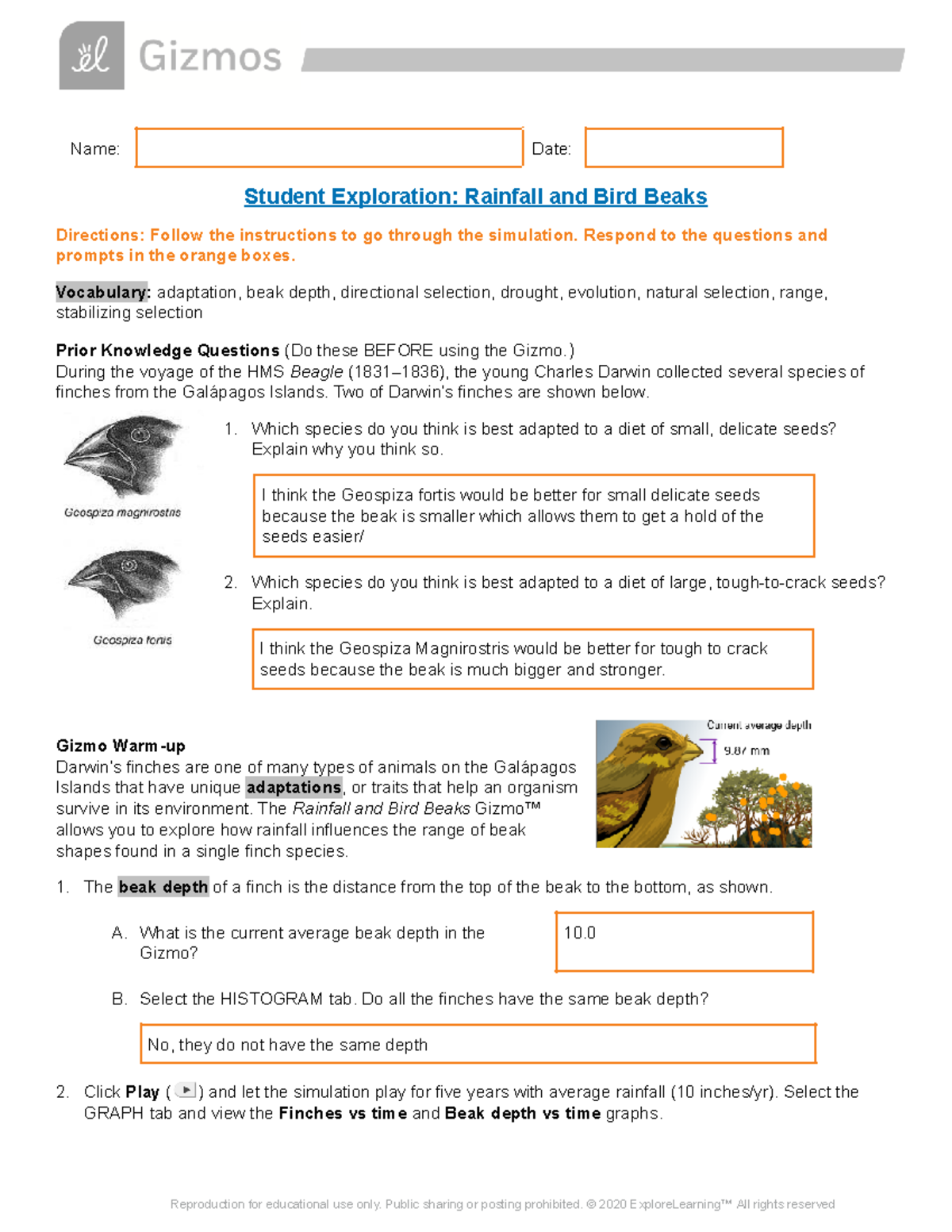 Exploring Rainfall Effects on Bird Beaks: SE Activity Guide - Studocu