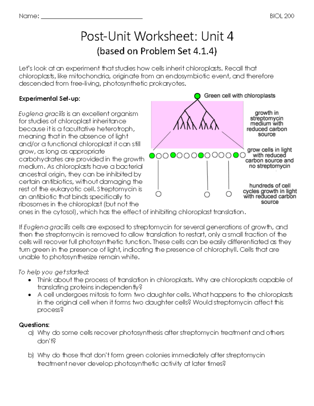 BIOL 200 - Unit 4 Post-Unit Worksheet on Chloroplast Inheritance - Studocu