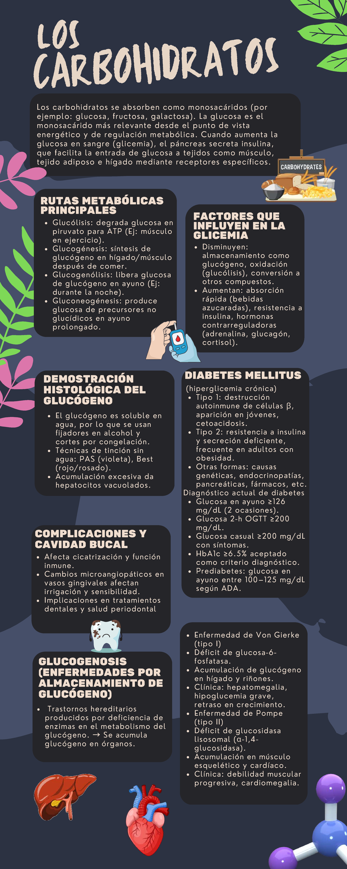 Infografía sobre Carbohidratos y Metabolismo (LOS S O T A R D I CARBOH ...