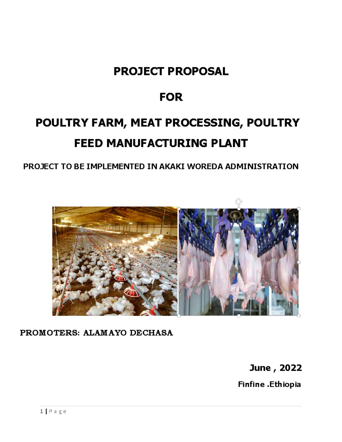 Poultry Farm & Meat Processing Project Proposal - 591686350 - Studocu