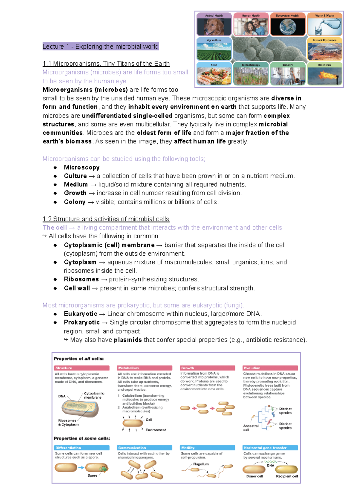 Microbiology Lecture Notes (BIO101): Exploring Microorganisms & Growth ...