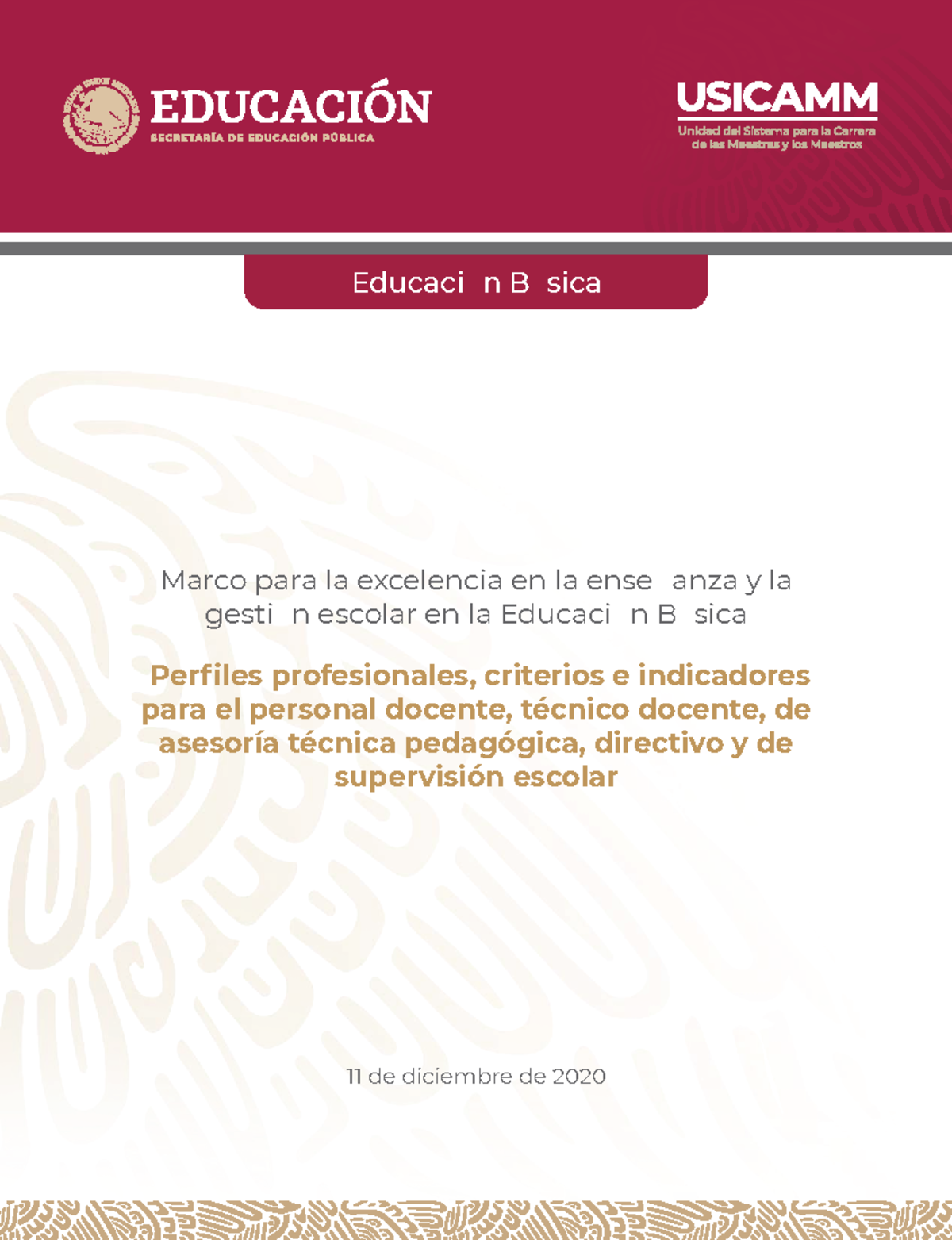 Marco para la Excelencia en la Educación Básica: Perfiles y Criterios ...