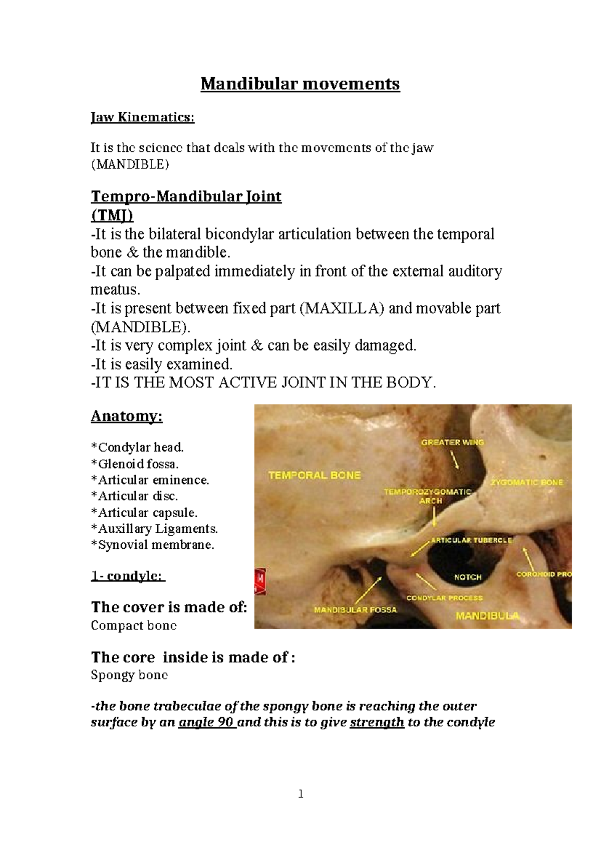 Mandibular Movements: Comprehensive TMJ Handout for MDS 101 - Studocu