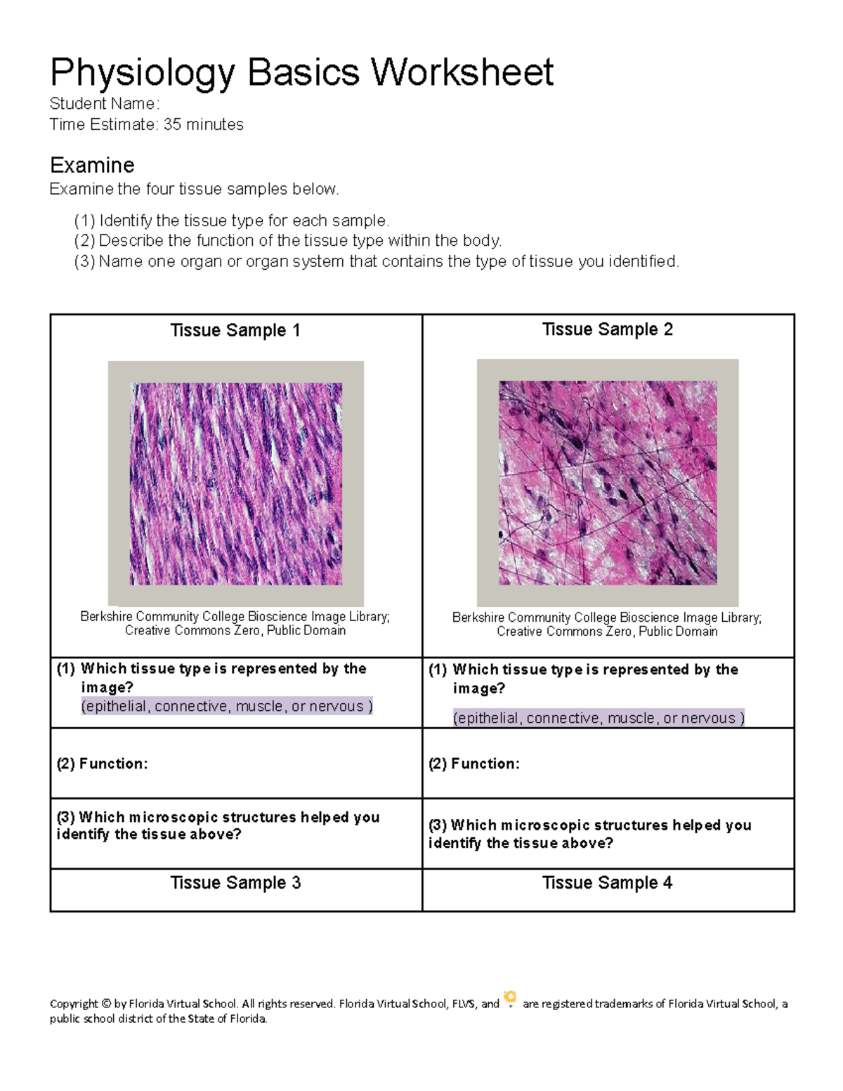 Physiology Basics Worksheet: Tissue Types & Functions Analysis - Studocu