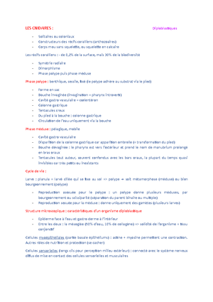 Paroi L1 - spe vegetale - La paroi des cellules végétales I ...