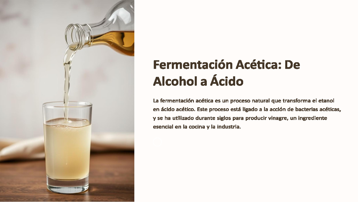 Fermentacion-Acetica-De-Alcohol-a-Acido 2 - Fermentación Acética: De ...