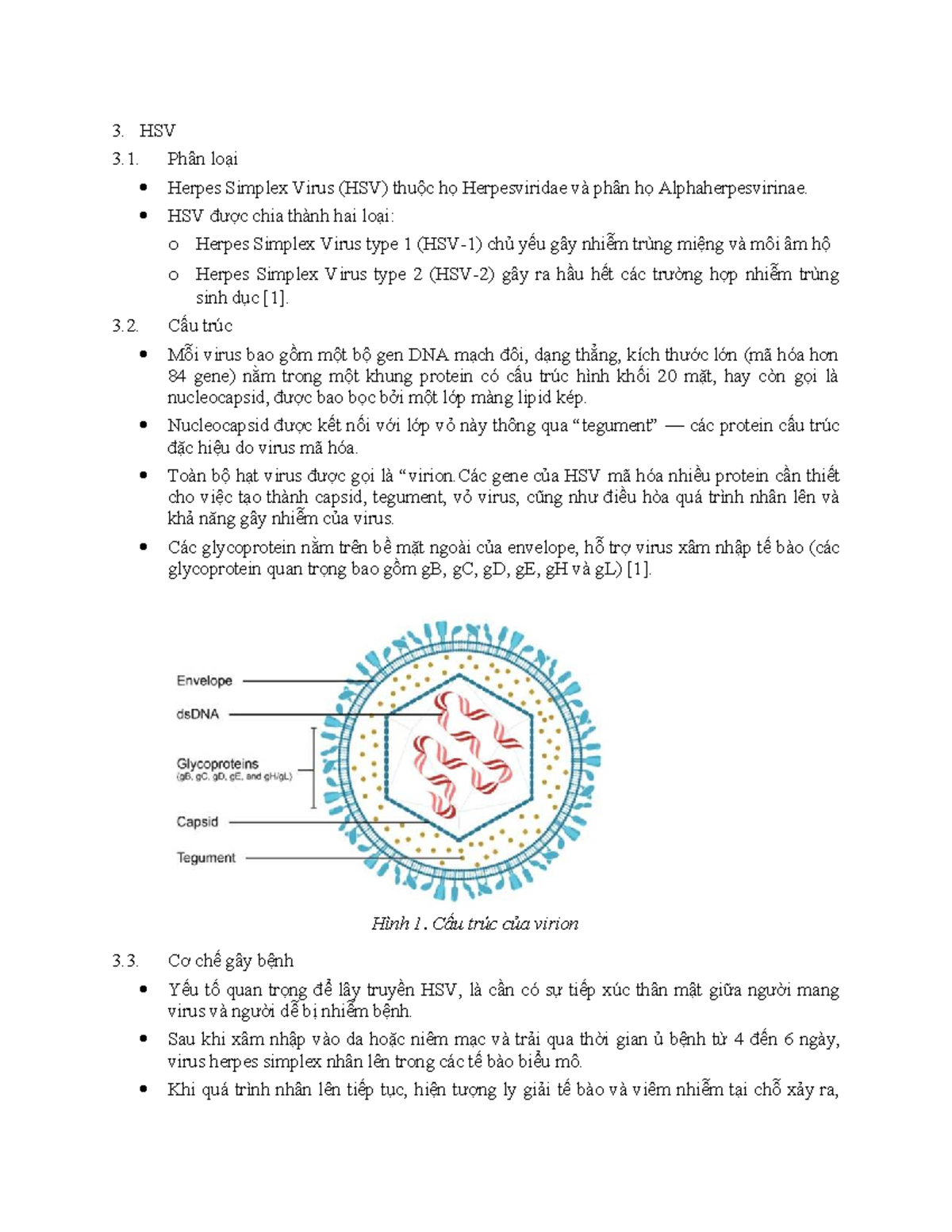 HSV 3.1. Phân loại và Cơ chế Gây Bệnh Herpes Simplex Virus - Studocu