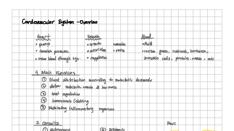 Cardiovascular System Overview: Heart, Vessels, and Functions - Week 8 ...