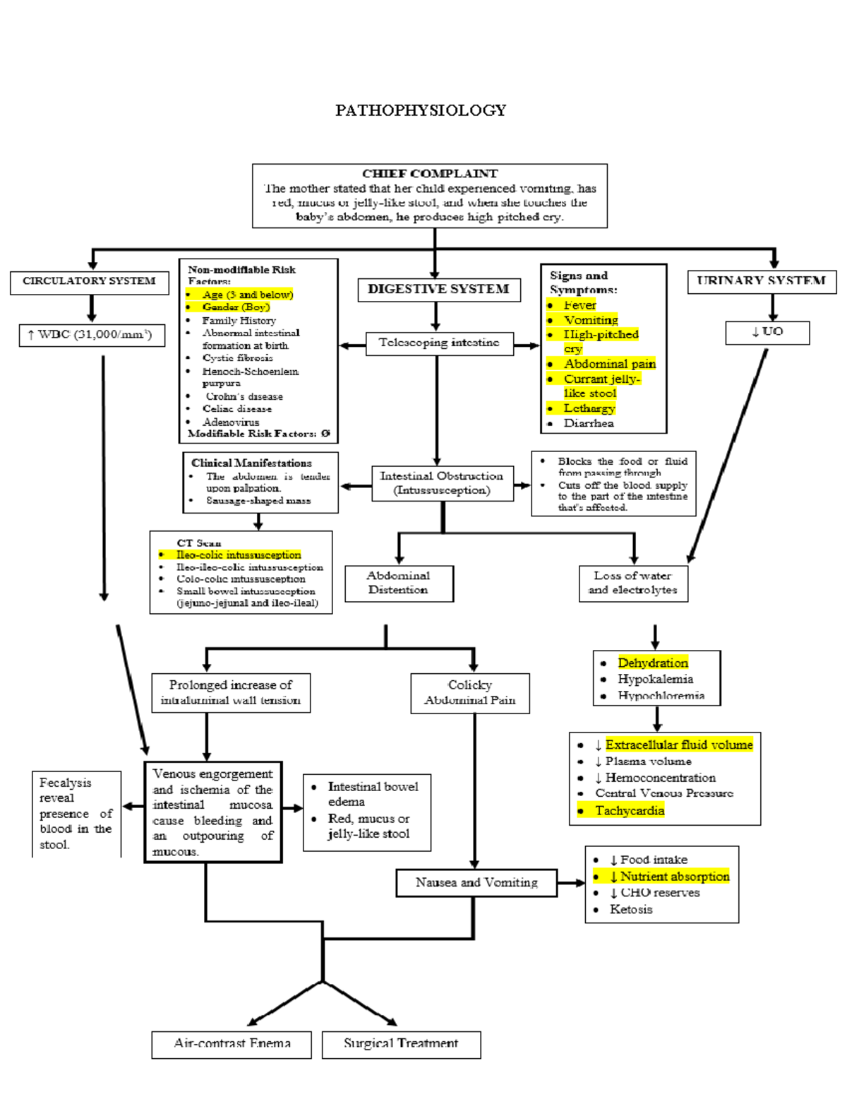 Pathophysiology Case Study: Intestinal Obstruction in Pediatrics - Studocu