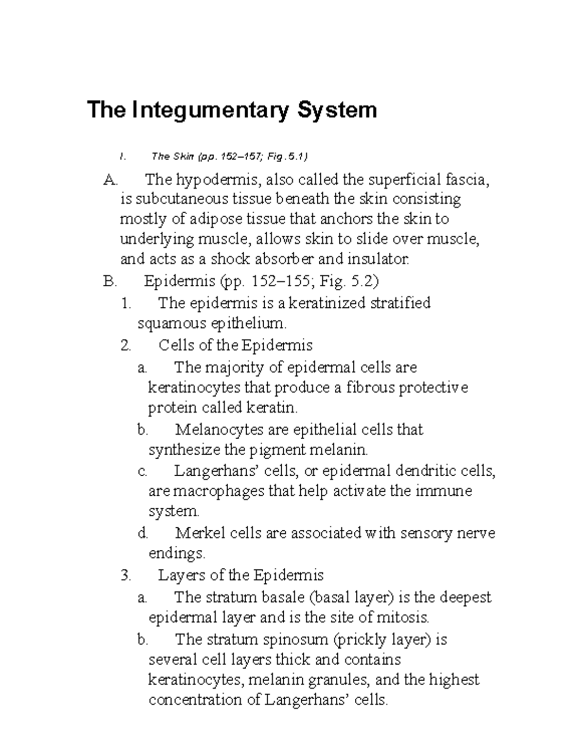 Integumentary System Overview: Anatomy, Functions, and Conditions (BIO ...