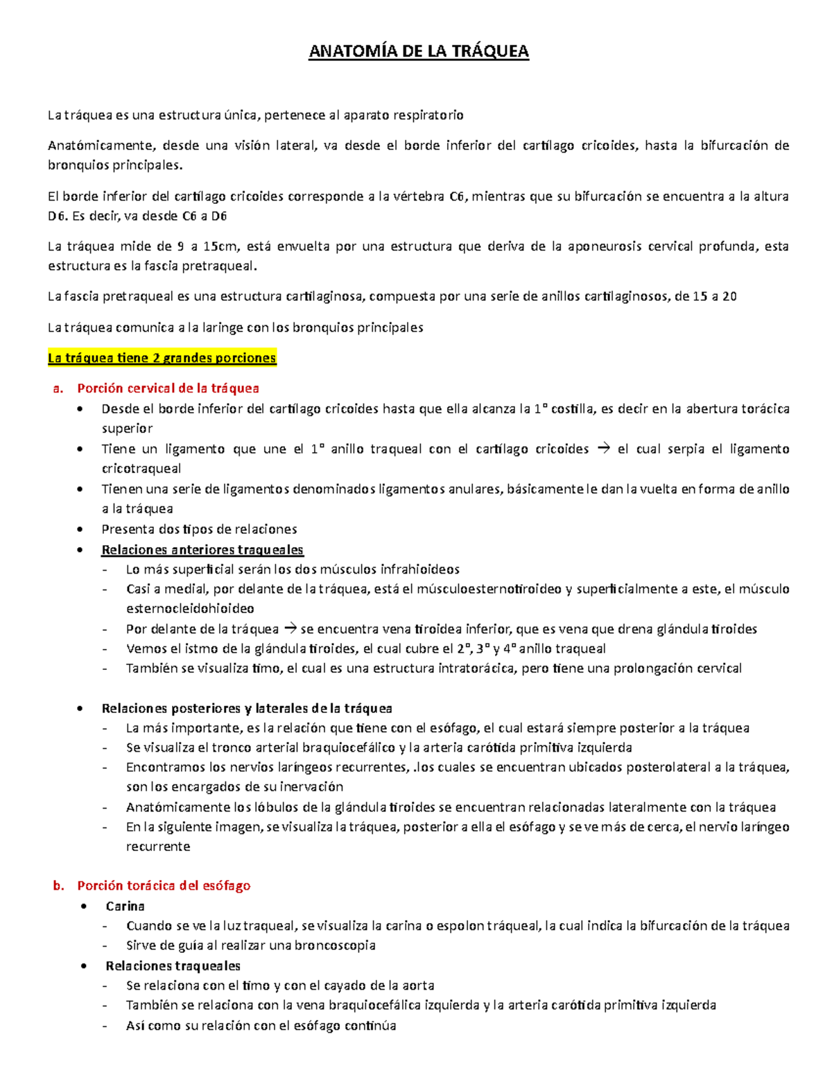 Anatomía de la Tráquea: Estructura y Relaciones (Curso ANAT101) - Studocu