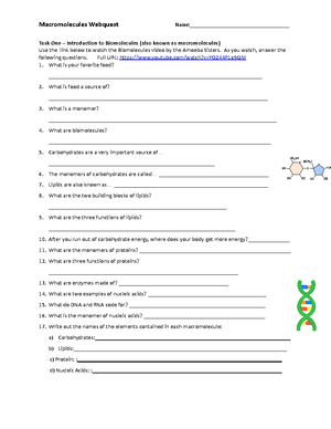 Reproductive system webquest - Name ...